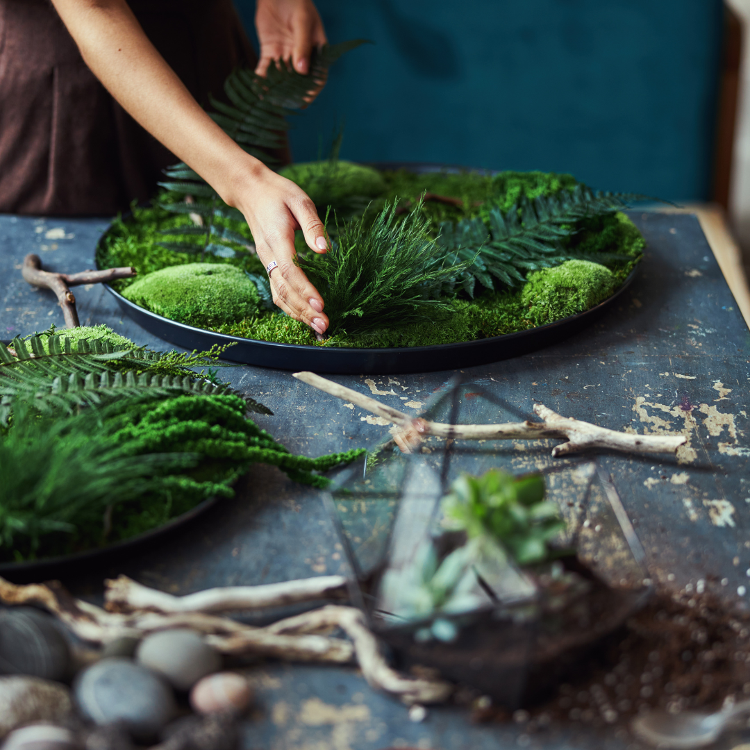 From a Dream to Reality: The Inspiring Journey of Sera Organics